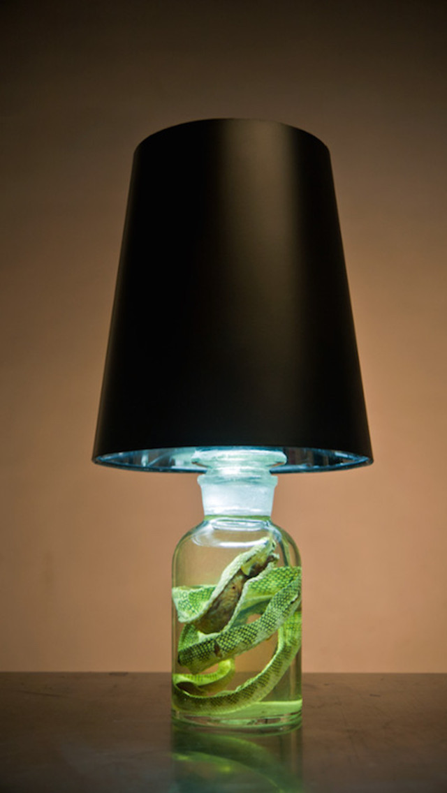 34 Sick AF Pics From Funny To Infatuating - Wtf Gallery | eBaum's World