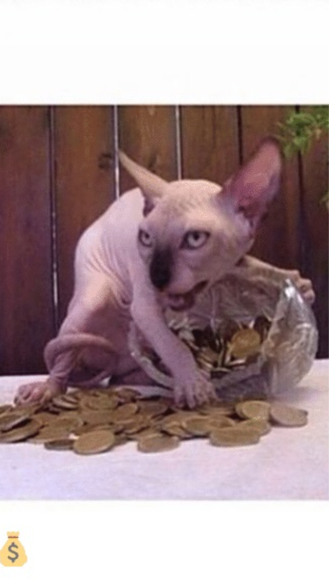 19 Of The Best Memes for When You Get Dumped - Funny Gallery | eBaum's ...