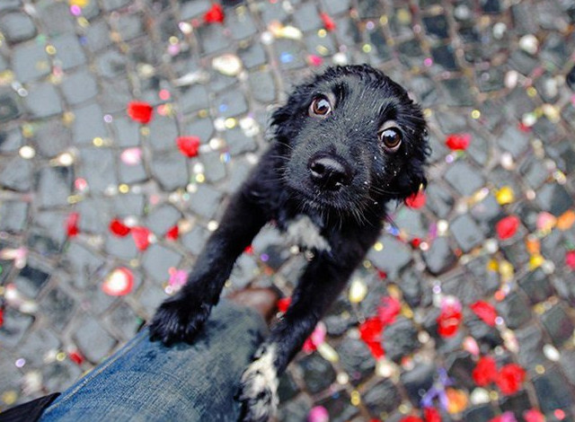 30 Fun And Entertaining Pics To Brighten Up Your Day - Gallery | eBaum ...