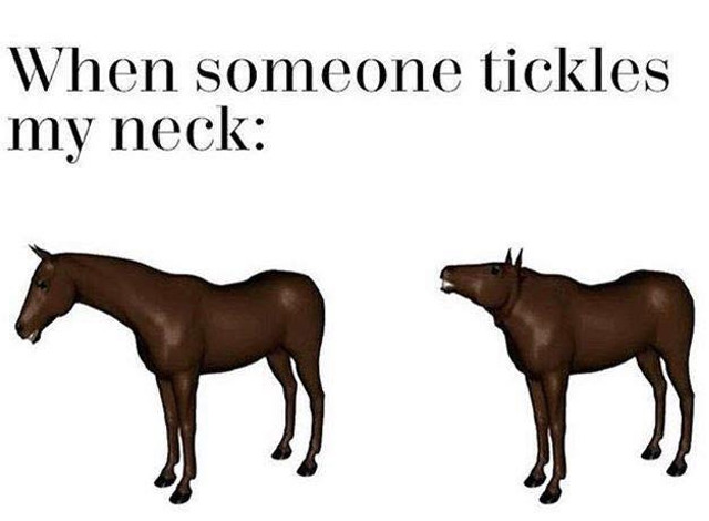 19 Funny Memes To Make Your Day - Funny Gallery | eBaum's World