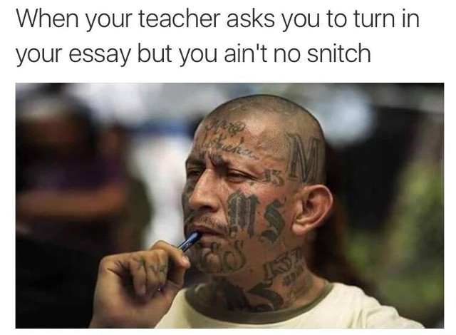 38 Great Pics And Funny Memes to Make You Smile - Funny Gallery | eBaum ...