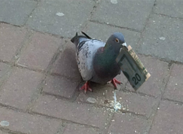 46 Great Pics And Fresh Memes to Improve Your Mood - Funny Gallery ...