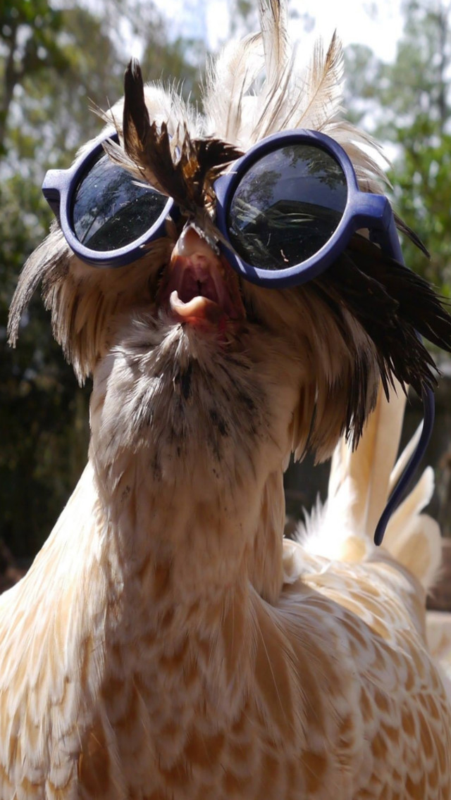 56 Kickass Pics That Will Improve Your Mood - Funny Gallery | eBaum's World