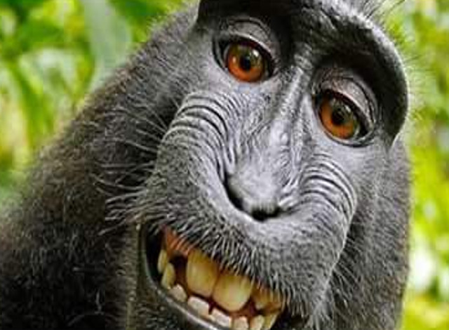 Angry Guy Owns PETA With Examples of Their Own Hypocrisy - Ftw Gallery ...