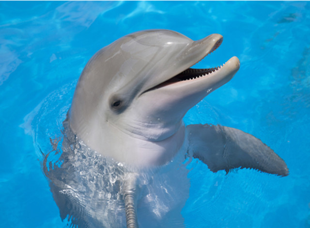 23 Disturbing Facts That Will Chill You to the Bone - Creepy Gallery ...