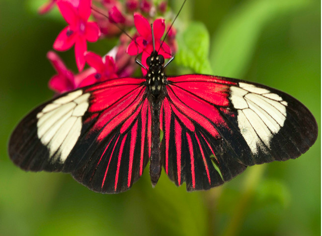 23 Creepy Facts That Are Downright Disturbing - Wtf Gallery | eBaum's World