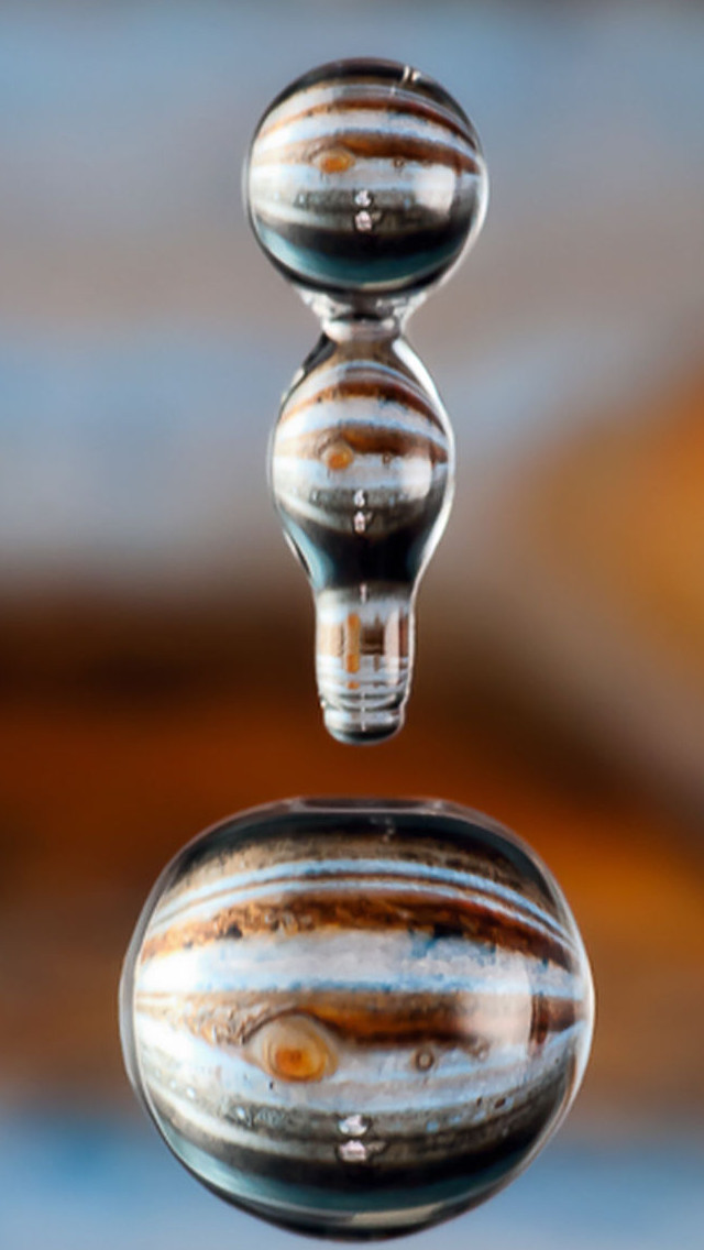 13 Weird And Interesting Pictures and Facts - Gallery | eBaum's World