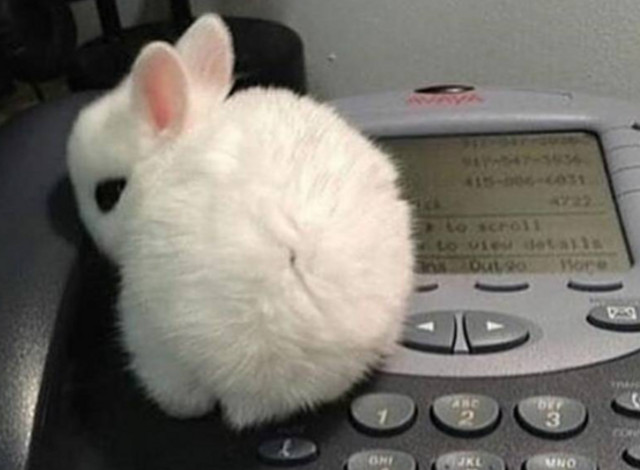 39 Hilarious Posts From Tumblr That Will Make You Shake Your Head ...