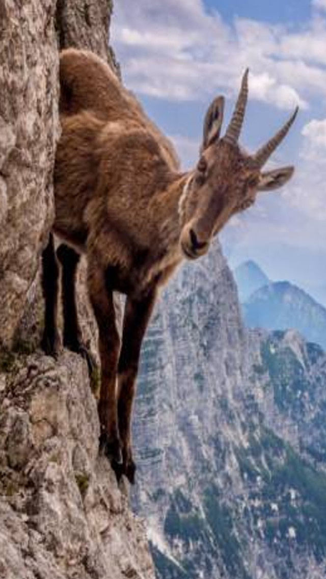 42 Killer Pics For Your Kick Ass Weekend - Funny Gallery | eBaum's World