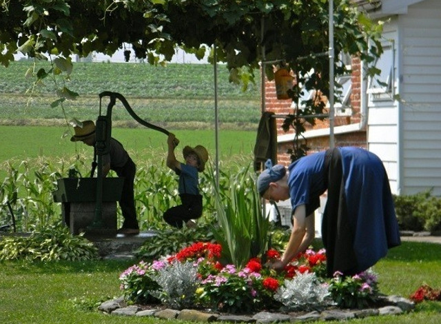 25 Fascinating Facts About The Amish And Their Way Of Life - Funny ...