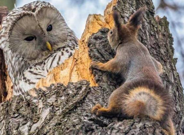 40 Fun Fascinating Photos For Your Eyes Only - Wow Gallery | eBaum's World