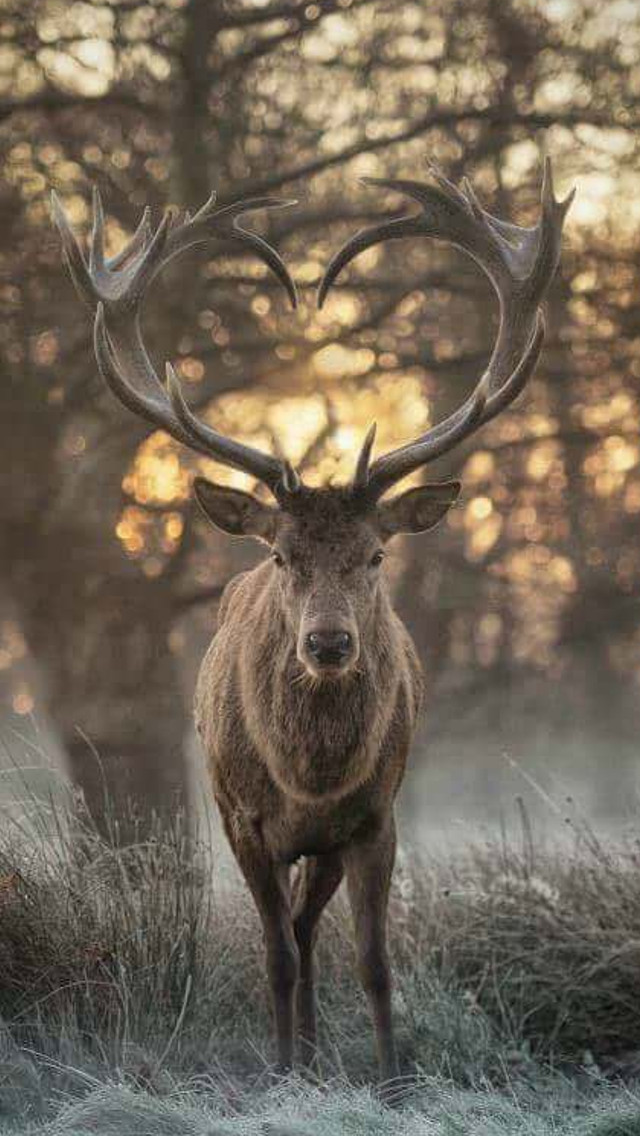 41 Funny Pics And Memes To Improve Your Mood - Funny Gallery | eBaum's ...