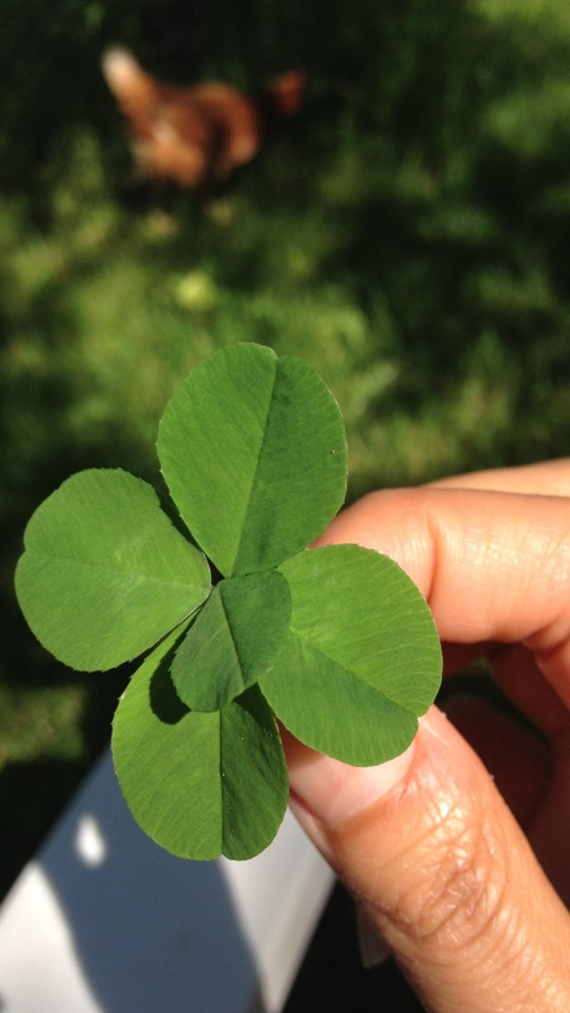 17 People Having The Best Day of Their Life - Wow Gallery | eBaum's World