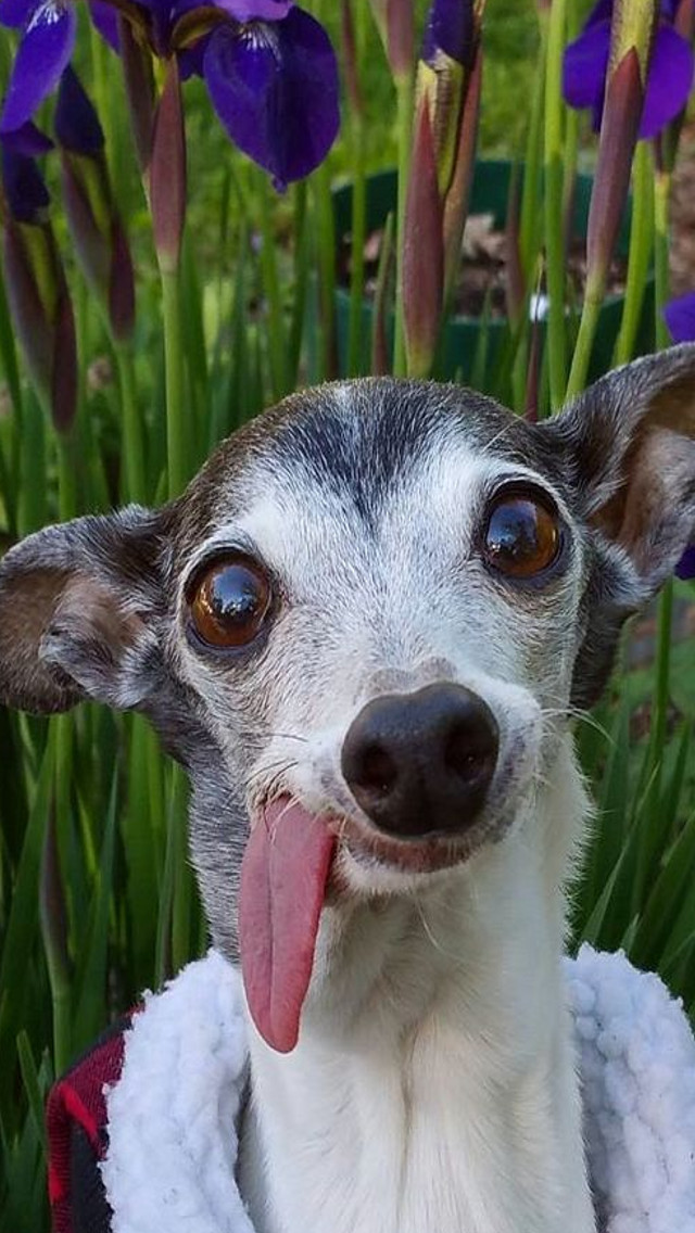 38 Wild, Wacky, and WTF Pics That Will Pique Your Interest - Funny ...