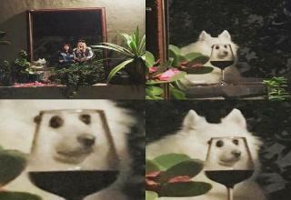 36 Pics and Memes That Will Quench Your Thirst for Weirdness - Funny ...