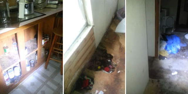 Trashy Family Absolutely Destroyed This Rental House - Wow Video ...