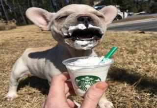 30 Slick Pics That Will Blast You Into The Weekend! | eBaum's World