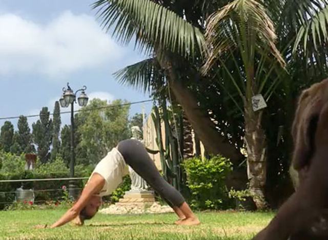 This Might Be The Greatest Yoga Video Ever - Funny Video | eBaum's World