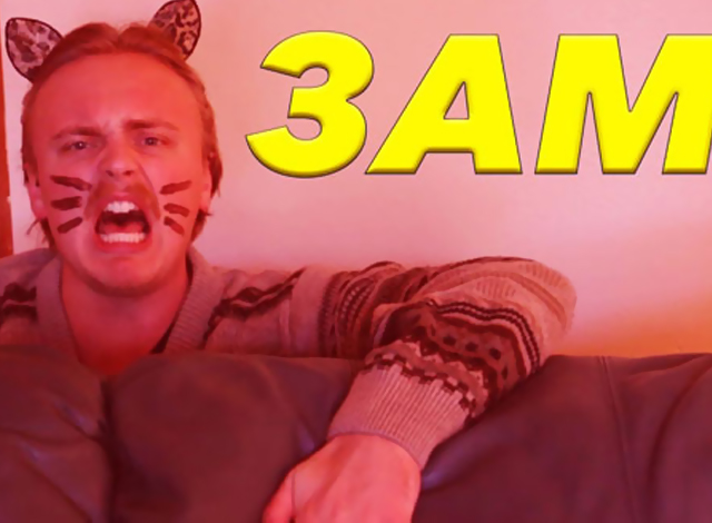 Every Cat at 3 am - Funny Video | eBaum's World
