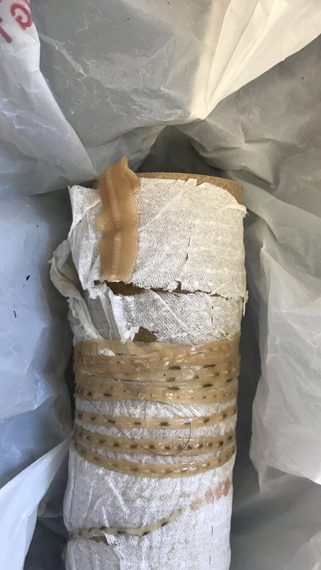 Horrified Guy Discovers He Has a Massive Tapeworm - Eww Video | eBaum's ...