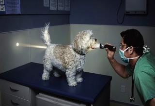 40 Dope Pics That Will Torque Your Rod - Funny Gallery | eBaum's World