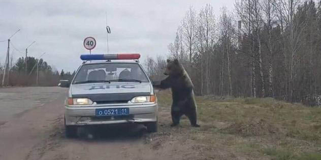 26 Funny Pictures To Chill You Out - Funny Gallery | eBaum's World