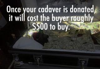 What Happens to Your Corpse When You Donate Your Body to Science ...