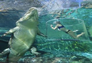 50 Funtastic Photos For Your Maximum Viewing Pleasure - Gallery | eBaum ...