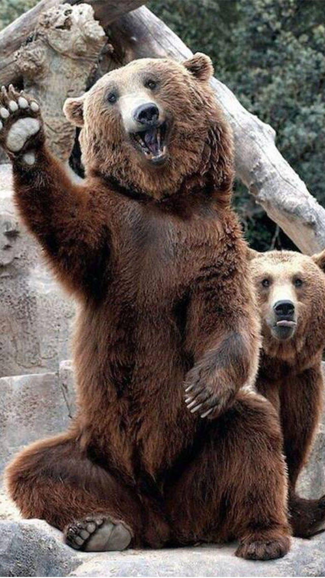 48 Awesome Pics That Will Stimulate Your Pleasure Centers - Funny ...