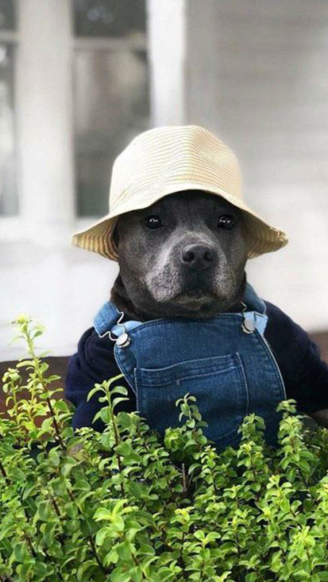 19 Super Random Pictures from the World Wide Web - Funny Gallery ...