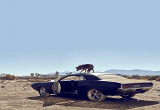 24 Random Pics from the World Wide Web - Wow Gallery | eBaum's World