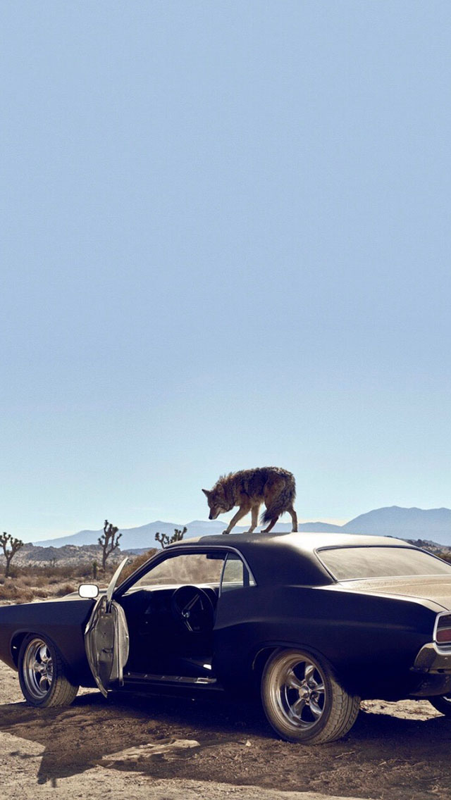 24 Random Pics from the World Wide Web - Wow Gallery | eBaum's World