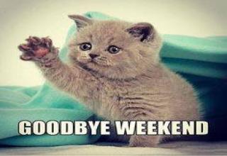 20 Sunday Night Memes That Sum Up The Weekend Ending - Funny Gallery ...