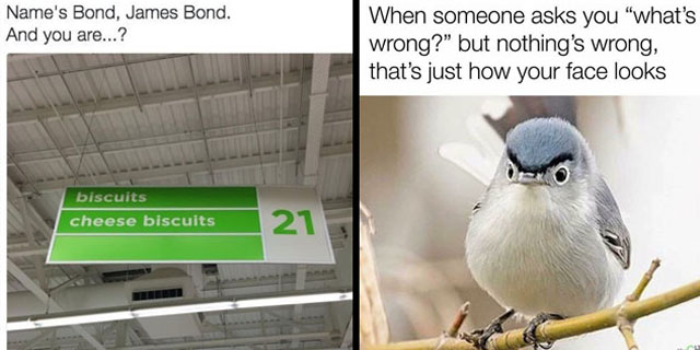 27 Memes That Are Pure Artistic Genius - Funny Gallery | eBaum's World