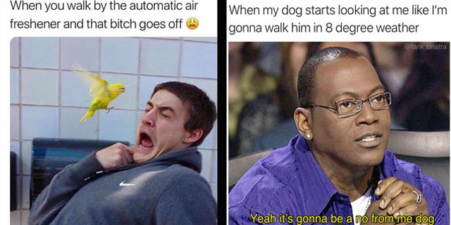 50 Memes That I Really Hope You Like - Gallery | eBaum's World