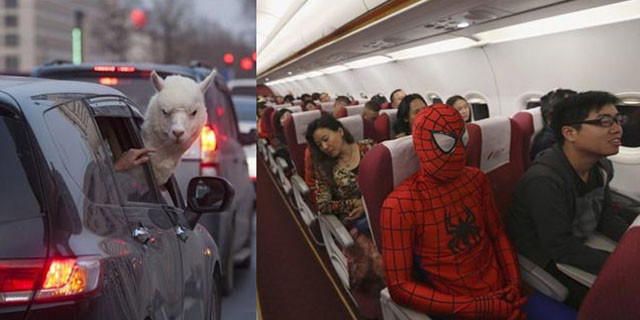 35 Strange Things to Stare At - Wtf Gallery | eBaum's World