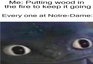 30 Quasimodo and Notre Dame Fire Memes That Will Probably Send You to ...