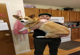 43 Absolute Unit Memes That Would Make Elon Musk Proud - Funny Gallery ...