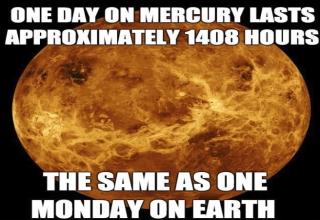 Monday Memes That Celebrate The Worst Day of The Week - Funny Gallery ...