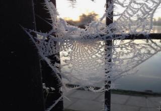 42 Extremely Random Pics That Will Leave You Satisfied - Funny Gallery ...