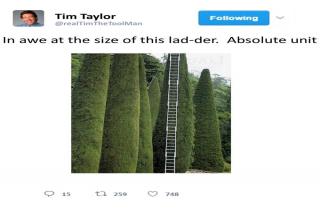 43 Absolute Unit Memes That Would Make Elon Musk Proud - Funny Gallery ...