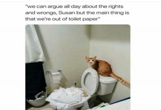 76 Cat Memes That Are LITTERally the Worst - Funny Gallery | eBaum's World