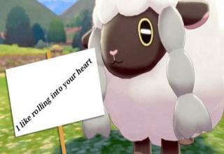 29 Wooloo Memes About Your Favorite New Pokémon - Funny Gallery | eBaum ...