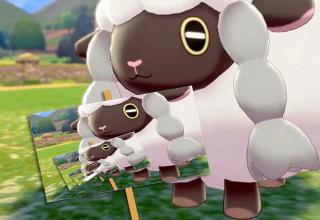 29 Wooloo Memes About Your Favorite New Pokémon - Funny Gallery | eBaum ...