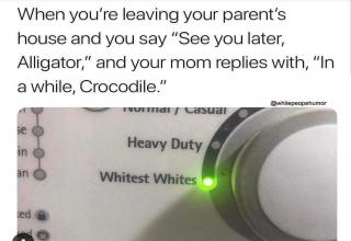 85 of the Best Memes Seen on the Internet - Funny Gallery | eBaum's World