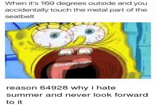 33 Funny Summer Memes That Are Bringing The Heat - Funny Gallery ...