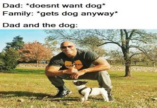 50 Wholesome Clean Memes That Bring the Feels - Funny Gallery | eBaum's ...