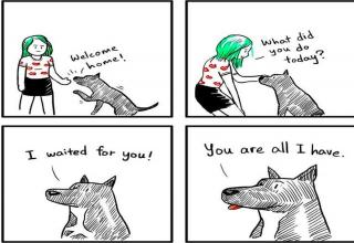 50 Wholesome Clean Memes That Bring the Feels - Funny Gallery | eBaum's ...