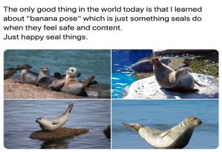 50 Wholesome Clean Memes That Bring the Feels - Funny Gallery | eBaum's ...