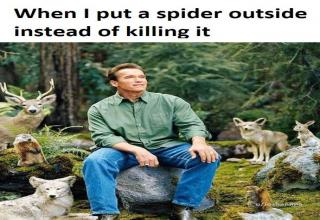 50 Wholesome Clean Memes That Bring the Feels - Funny Gallery | eBaum's ...